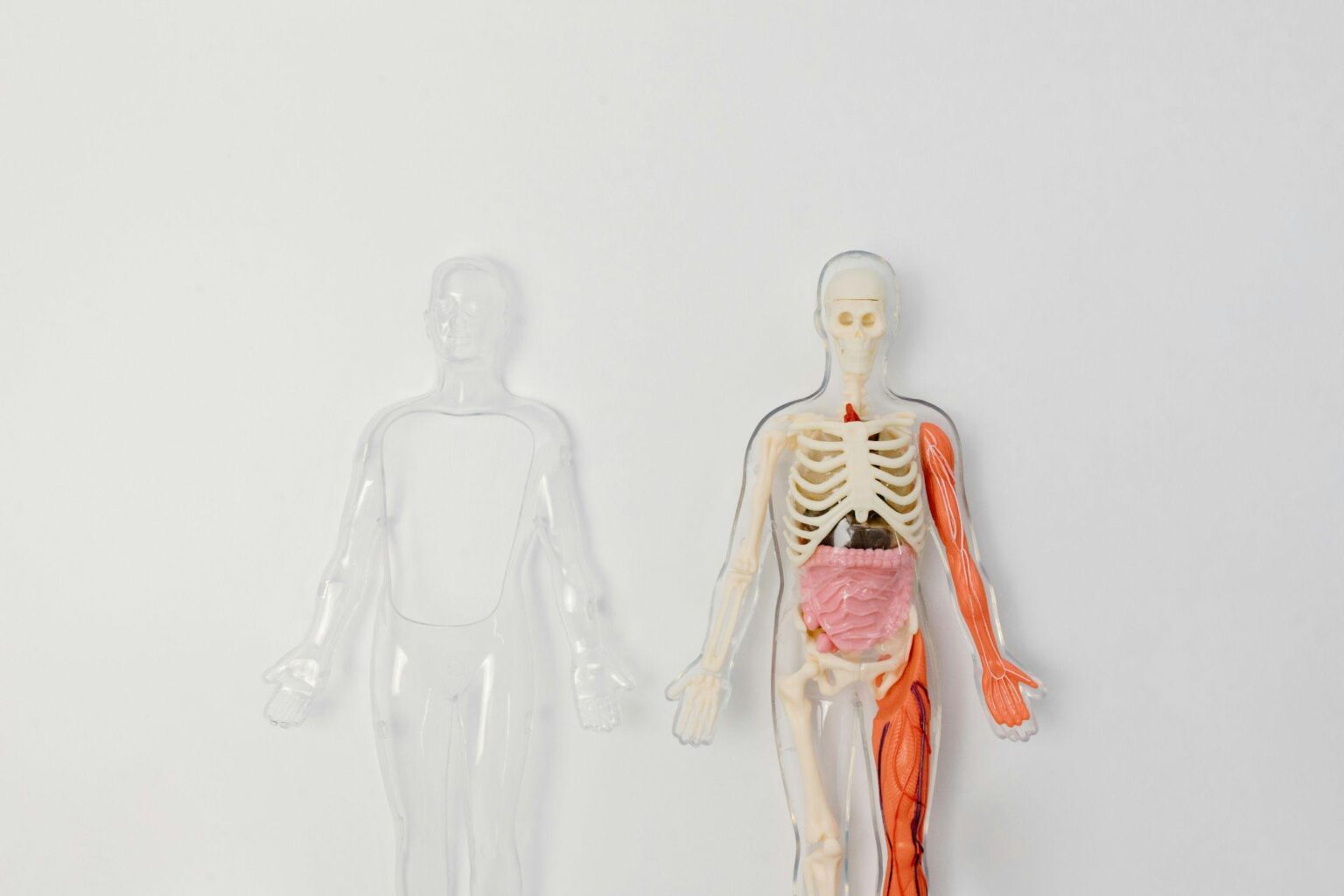 The Complete Guide to Musculoskeletal Injuries: Understanding ...