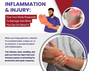 INFLAMMATION & INJURY: How Your Body Responds to Damage and What You ...