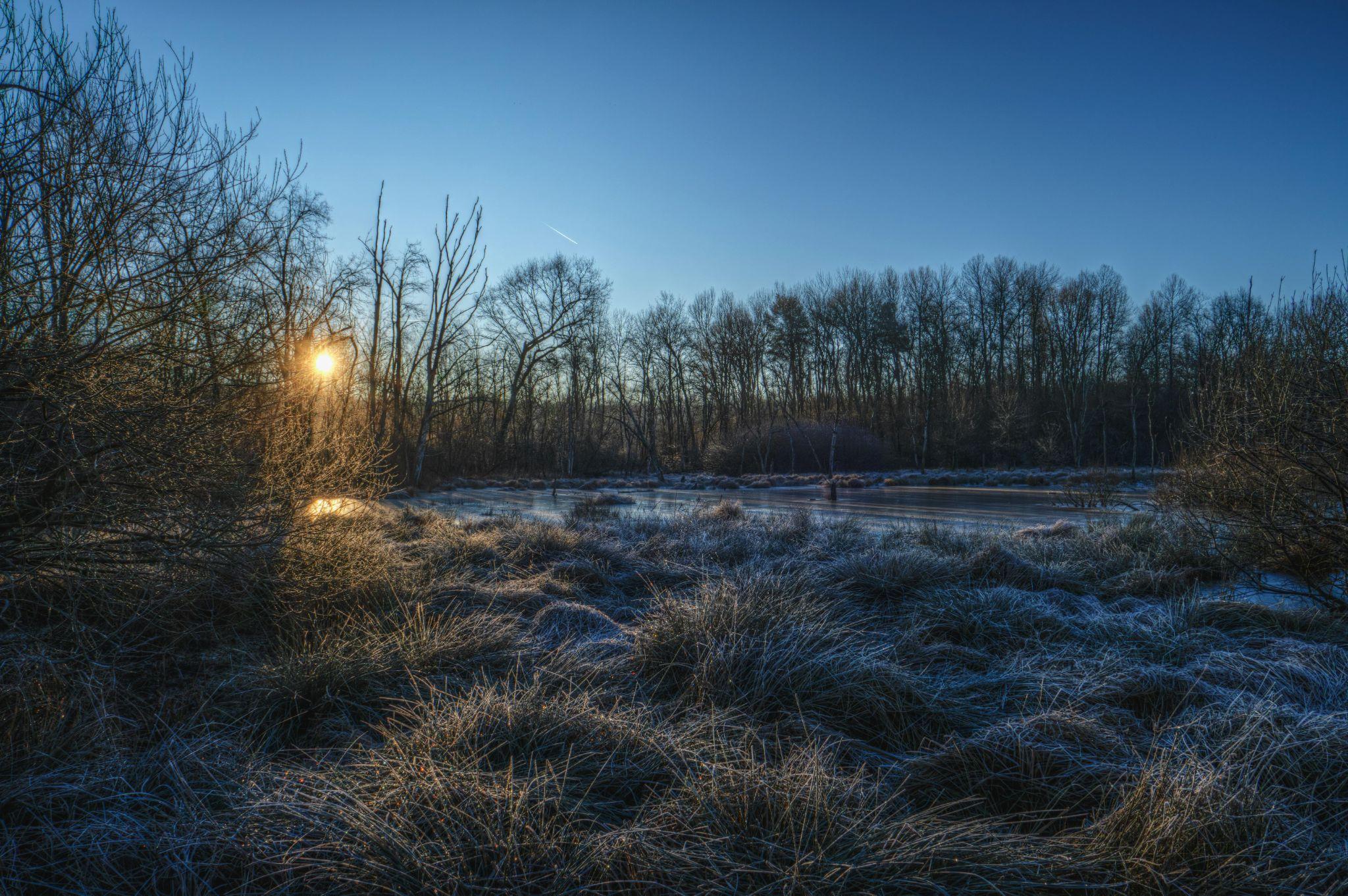 Habits That Keep You Healthy All Winter - MY DR'S NOTE